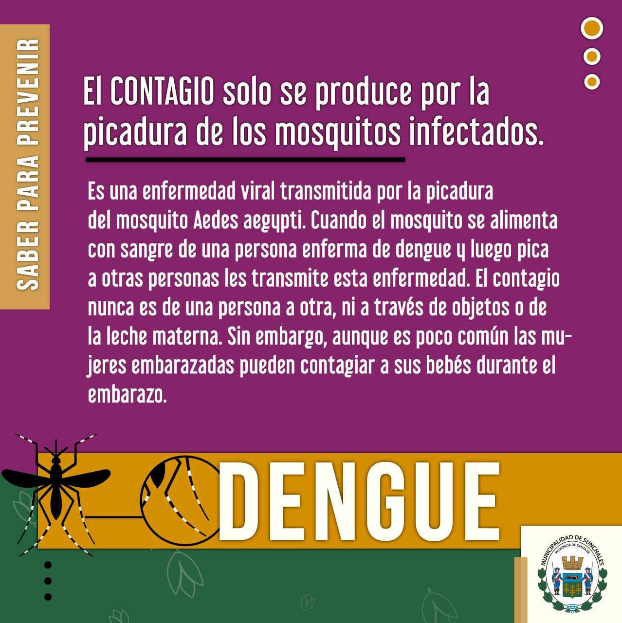 Plan de Acción Preventivo contra el Dengue